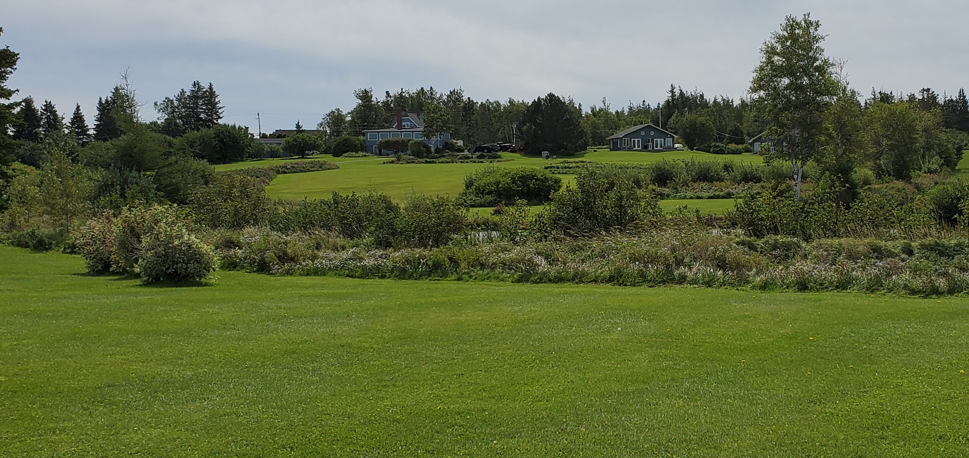 Inn From field at beach zoom | Amherst Shore Country Inn - Official Site